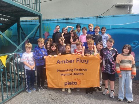 Amber Flag | Galway Primary School
